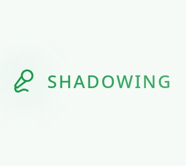 Shadowing | AI Application Safety Program